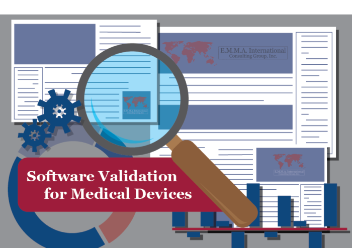 Software Validation for Medical Devices - EMMA International